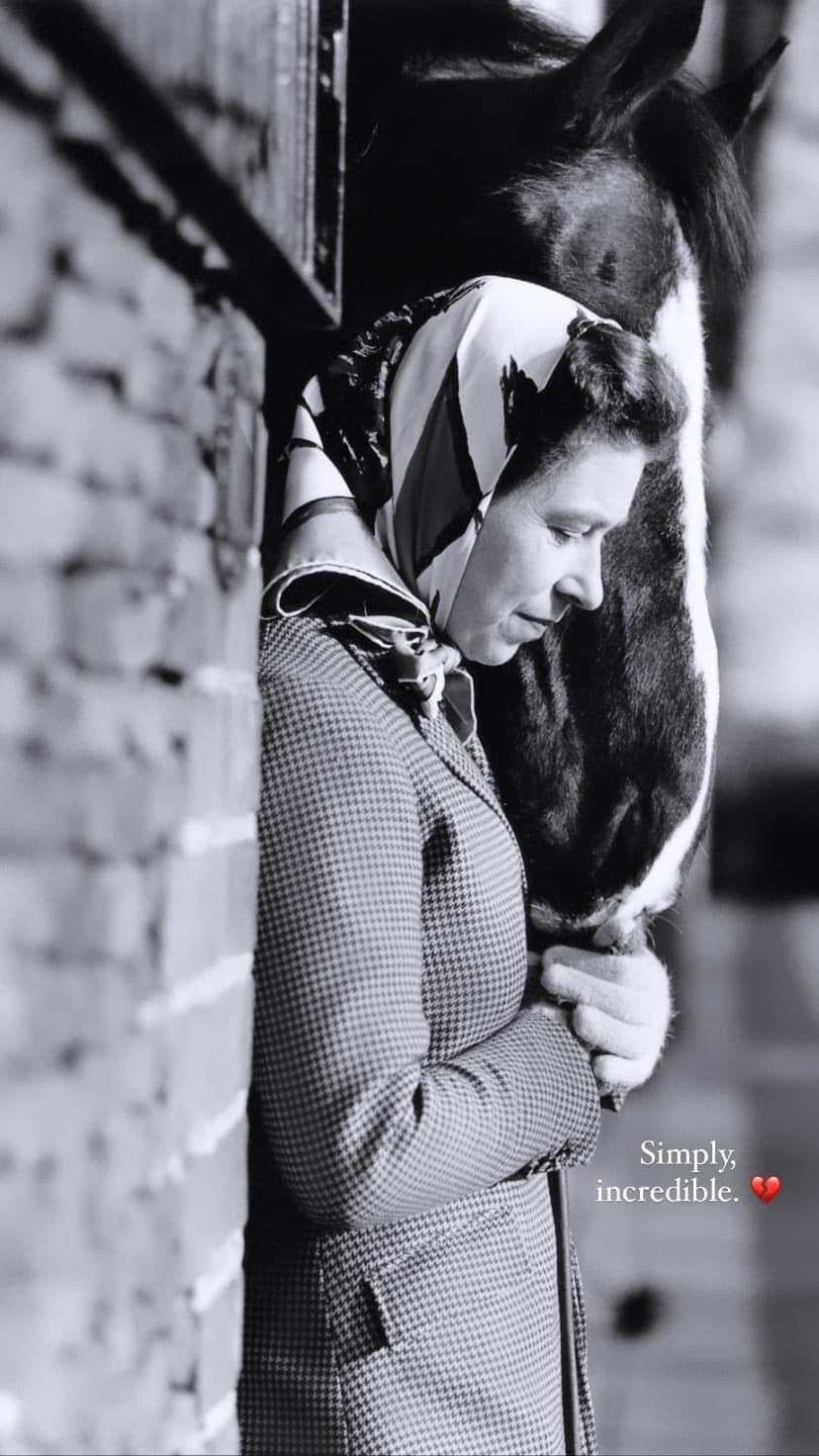 National Hunt Trainer | Jeremy Scott Racing | Brompton Regis