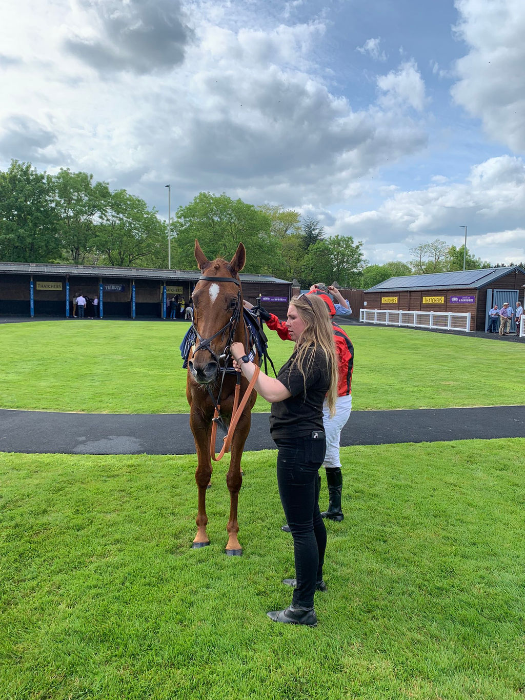 National Hunt Trainer | Jeremy Scott Racing | Brompton Regis