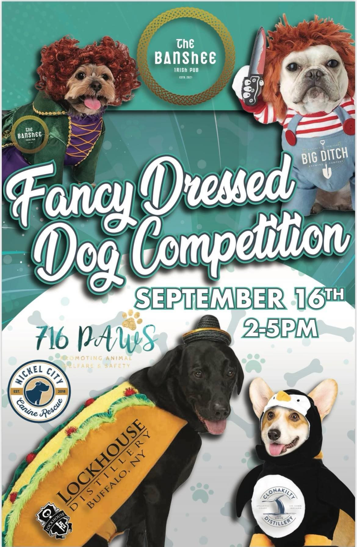 Fancy Dressed Dog Competition @ The Banshee Irish Pub | 716 PAWS