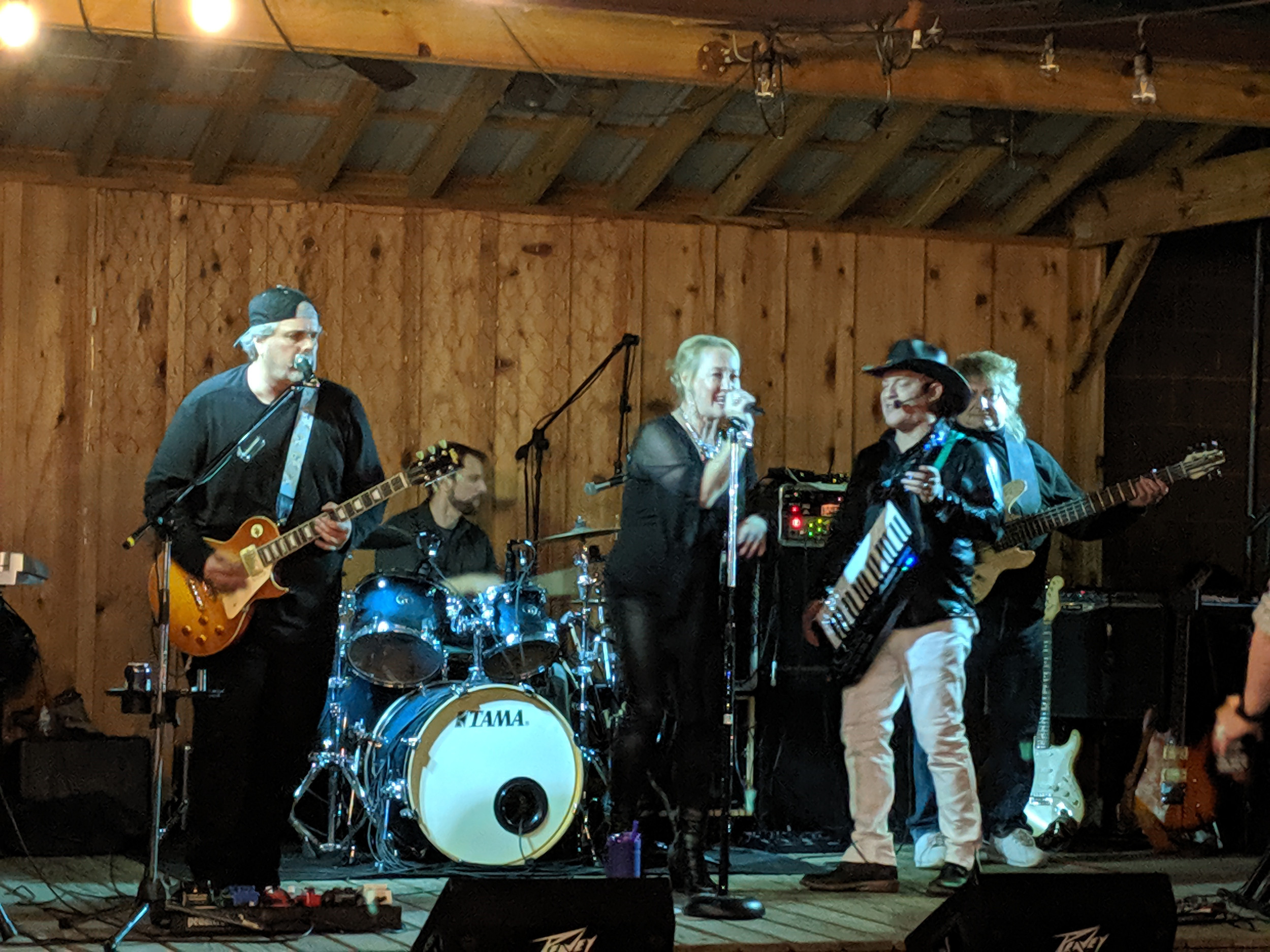 Bad Kitty Band | Home Page