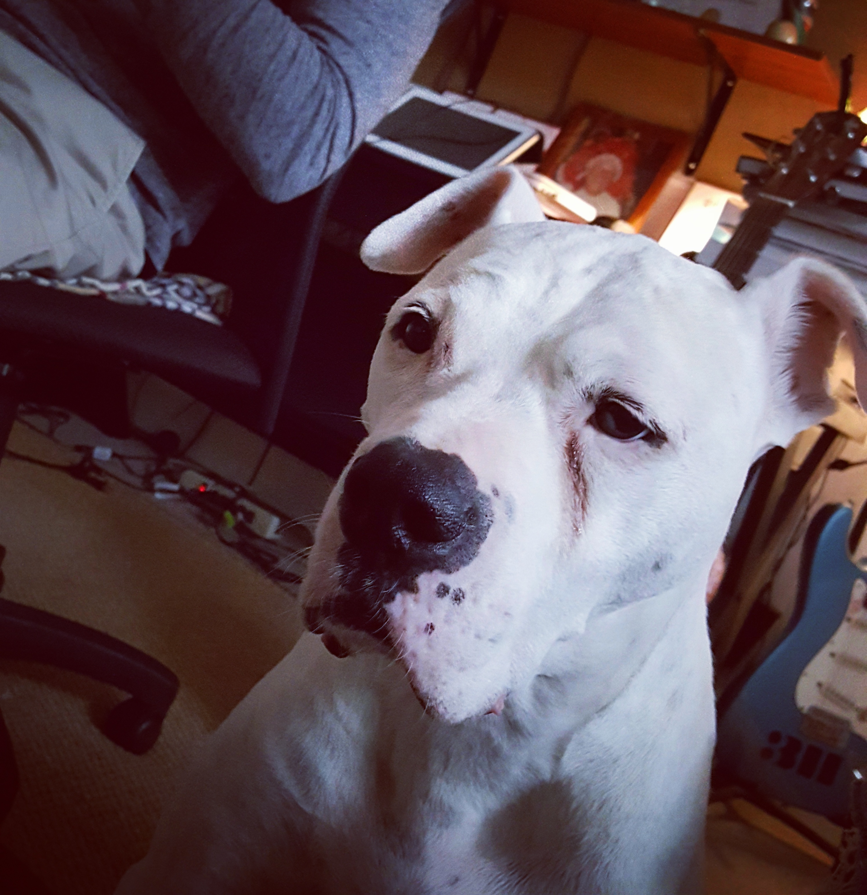 T Shirts | The Ink & I | United States