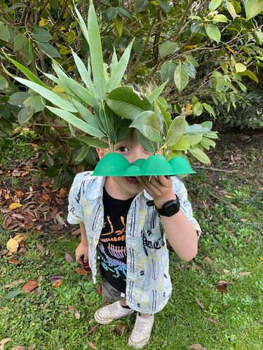 Sensory Scene Setters | Well Oil Bee