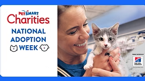 PetSmart National Adoption Week July 20th-26th | Kitten Angels