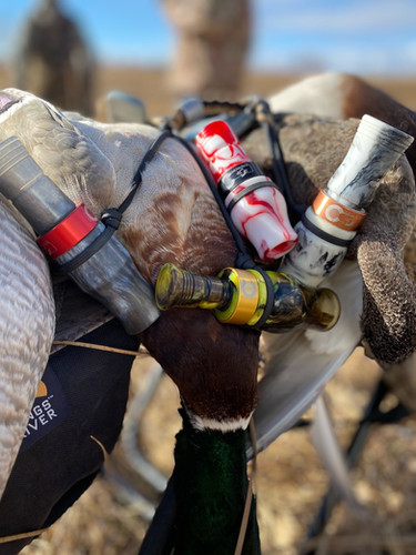 The "Northeastern" Lesser Goose Call | CCGC