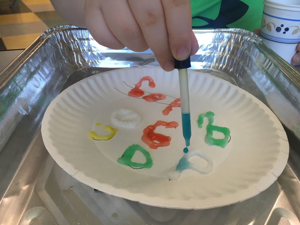 "What do I do today?" Try the Salt Craft!