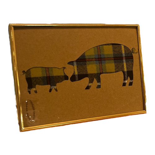 Cornish Tartan Pigs Picture Frame | Cornish Kilts