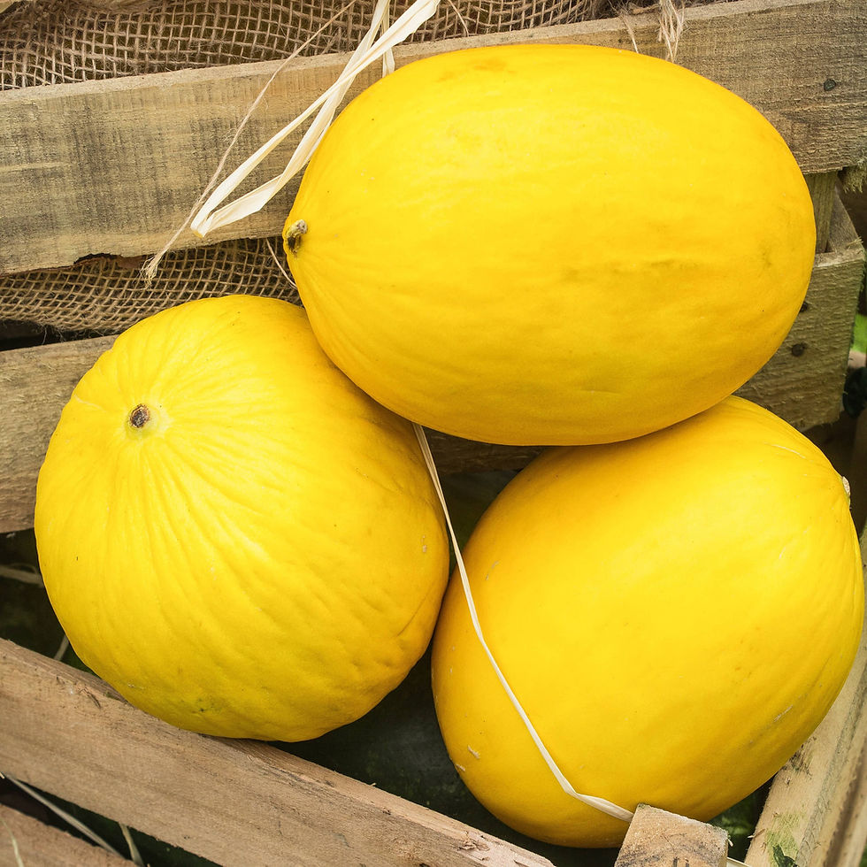 Fresh local Indian Fruits - Buy Online