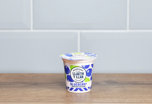 VILLAGE DAIRY LLAETH Y LLAN BLUEBERRY YOGURT 125g | Cotteswold Dairy