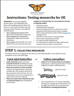 Testing for OE | monarch
