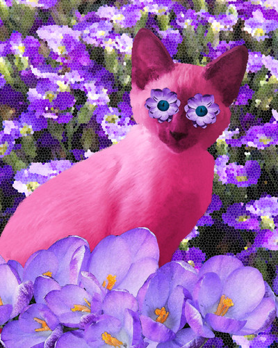 Siamese in the Pink with Louis Wain | fairysurreal
