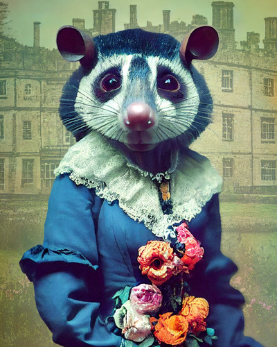 Our Lady of Possum | fairysurreal