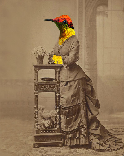 Victorian Lady of Hummingbird as anthro Fashion portrait photograph ...