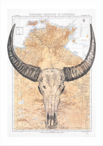 Buffalo skull on HX NT map | Tracey Polglaze Art