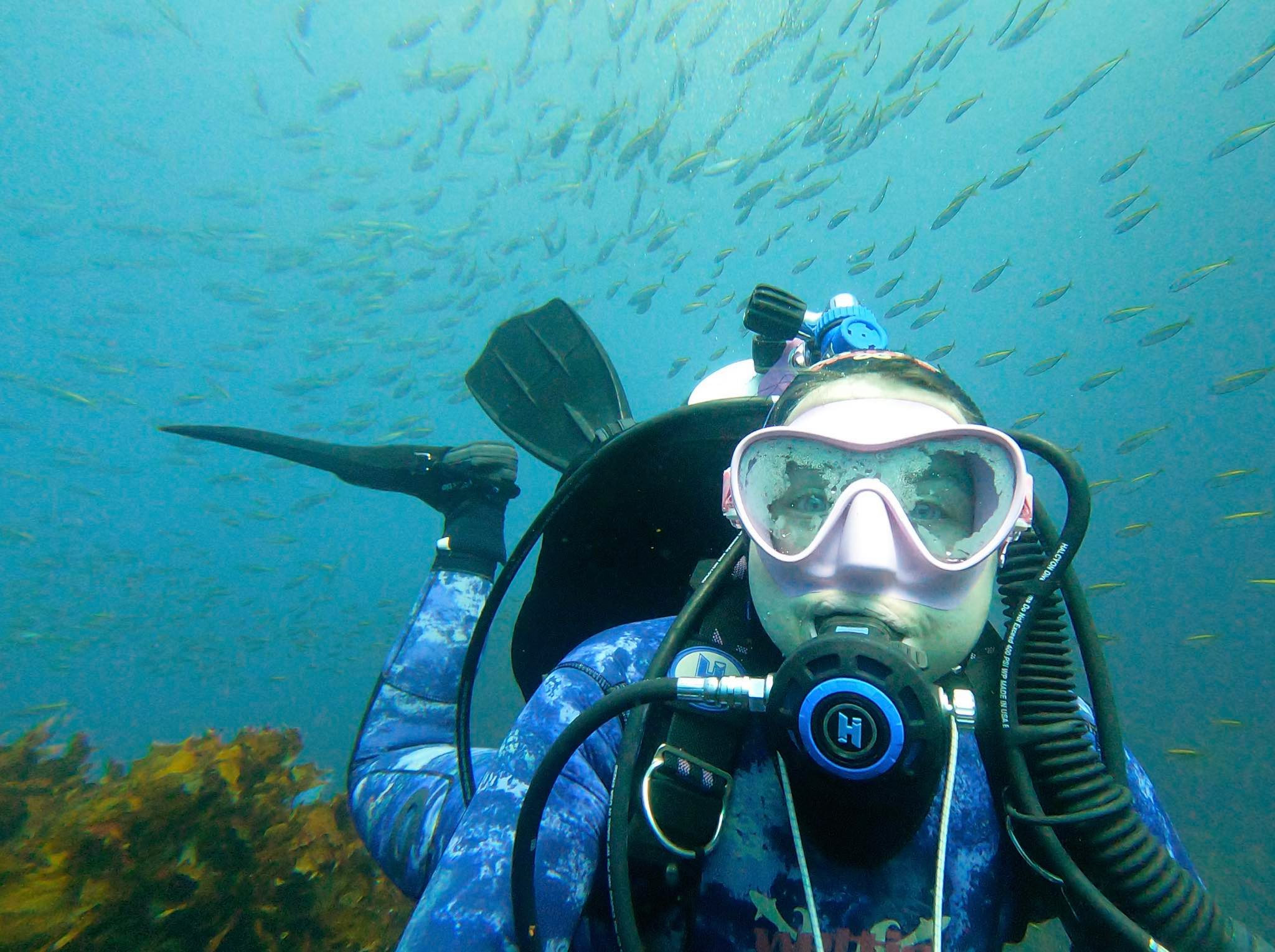 Wednesday Davis | Women in Seabird Sci