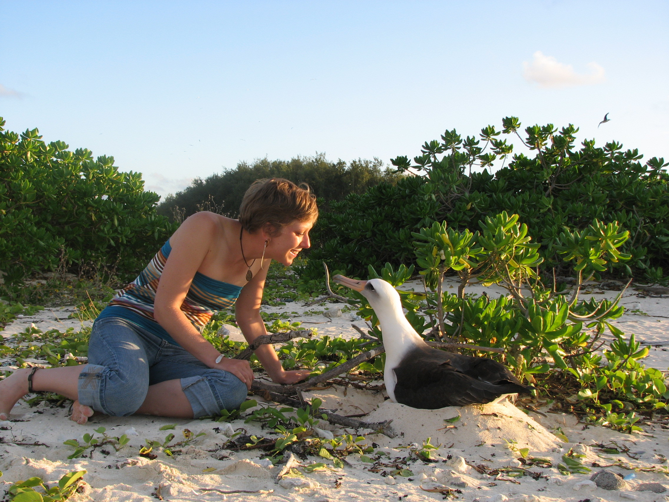 Sarah Gutowsky | Women in Seabird Sci