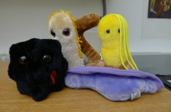 Pathogens | monnatlab