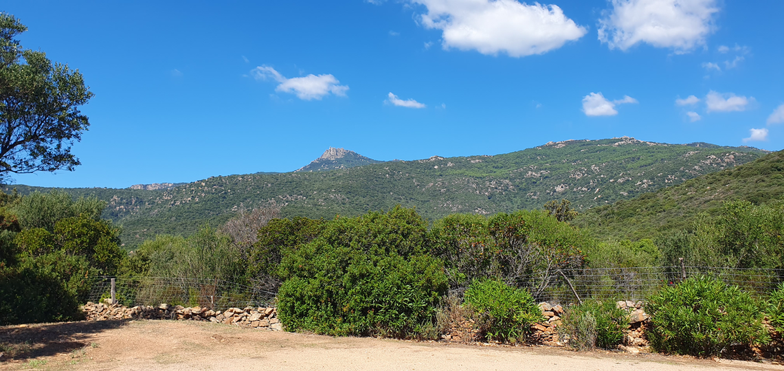Les Arbousiers | Location Villa Corse du Sud | Casa Susini