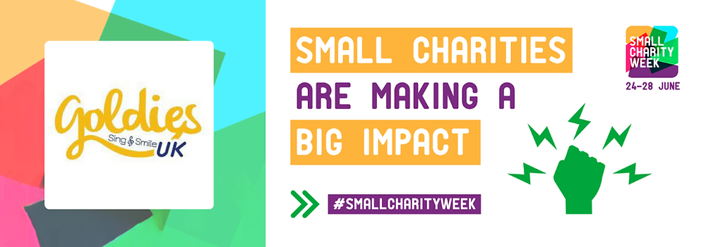 Small Charity Week Spotlight: Golden Oldies