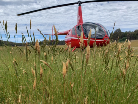 Melbourne Helicopter Tour | Melbourne Heli | Essendon Fields