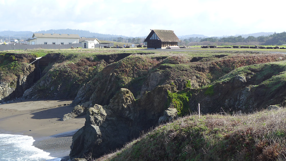 Noyo Headlands Working Group- Our Vision