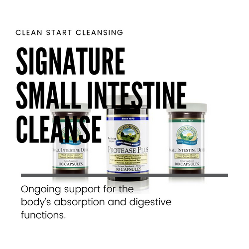 Signature Small Intestine Cleanse | Clean Start