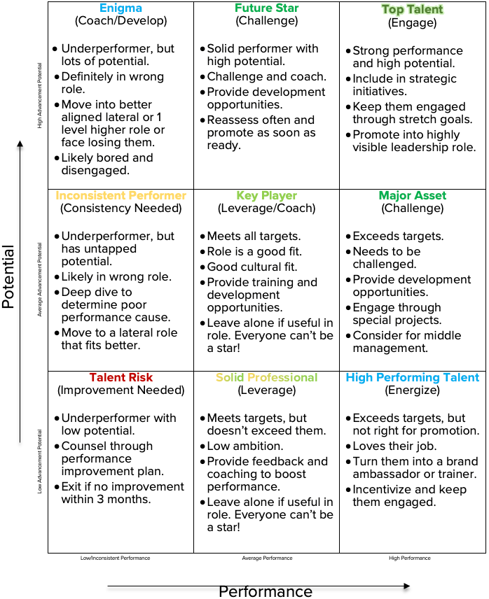 Employmetrics™ | 9 Box Assessments
