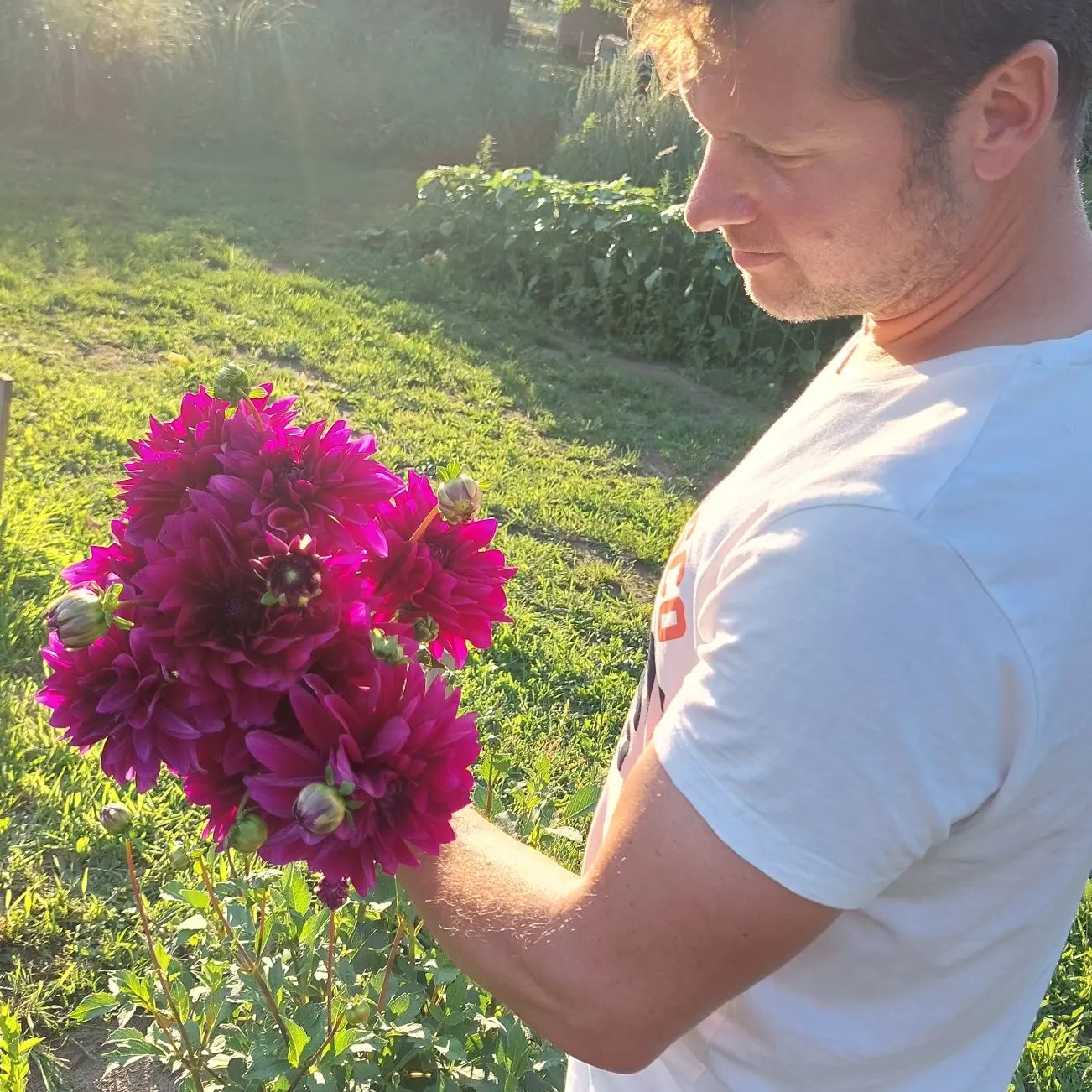 Over ons | Bloemenboerderij En