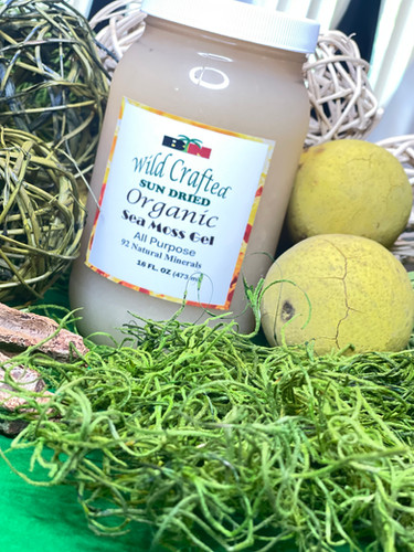 Wild Organic Sea Moss Gel | BUFF NATURALS FOODS