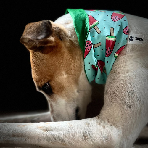 Reversible Jersey Snoods | Snoods4Dudes