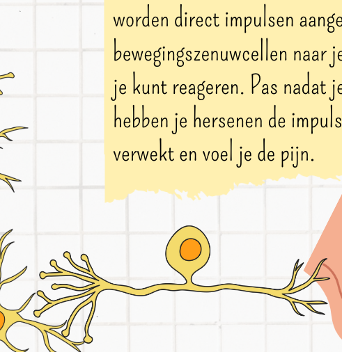 Lesmateriaal | Biologie Met Joost