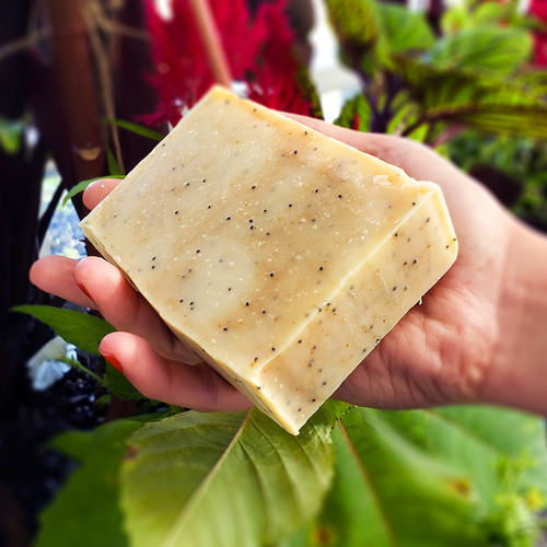 Rejuvenation - Premium All Natural Soap