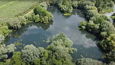 The Lakes | Ecton Lakes Fishery