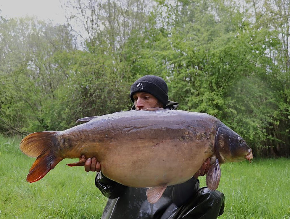 Ecton Lakes Fishery - Nene Valley Carp Fishing. Earls Barton, Northampton