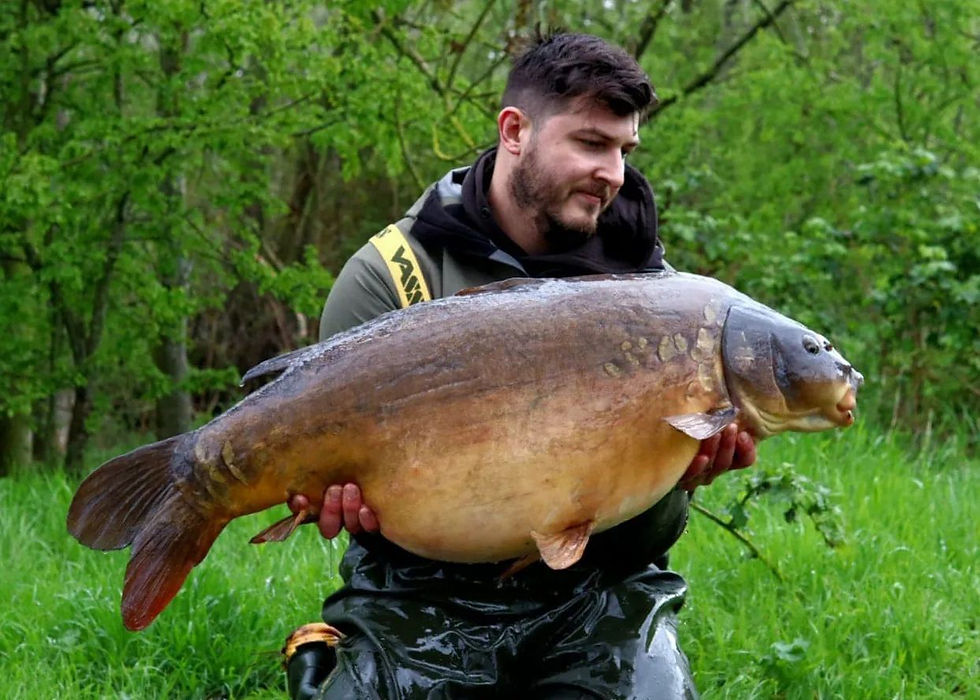 Jigsaw Lake | Ecton Lakes Fishery