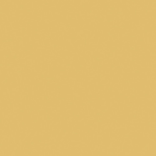 Little Greene Light Gold Paint | Sasha Interiors