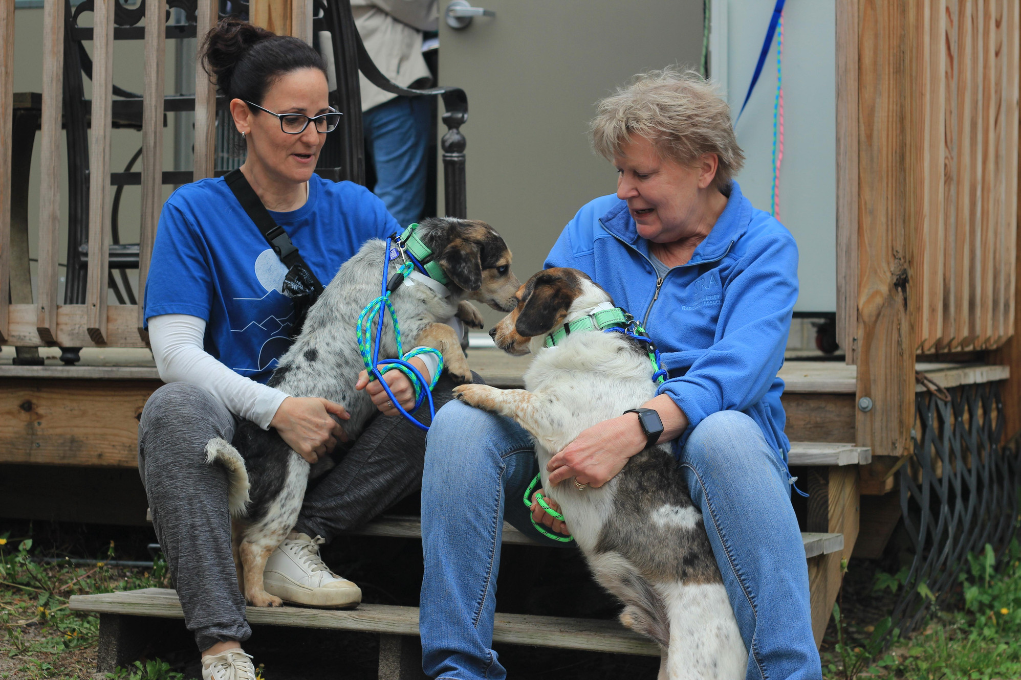 Adopt a Dog | Trust Rescue – New Jersey Dog Rescue