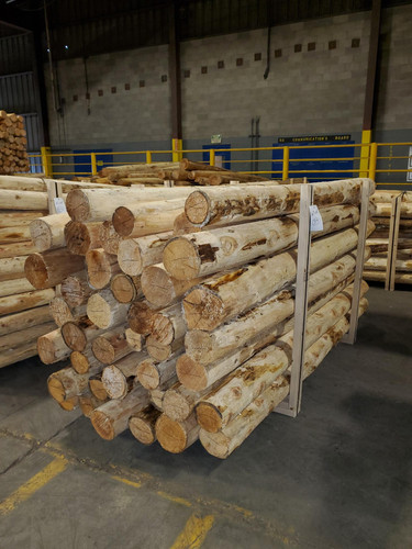 6" Peeled Cedar Fence Post | CI Forest Products