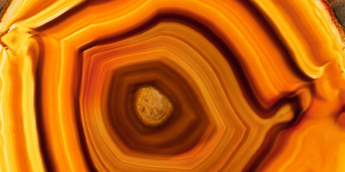 Pessac | Synergraphic Design