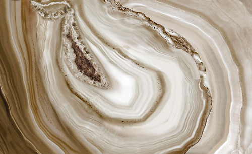 Dijon | Synergraphic Design