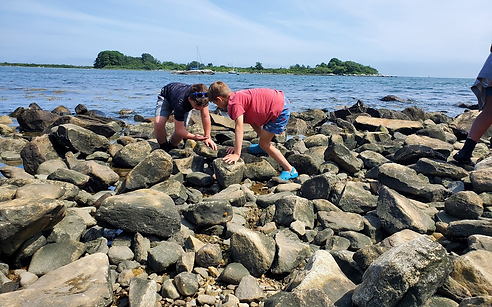 Rocky Intertidal Shore Exploration | projectoceanology