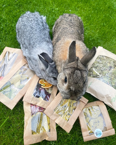 Rabbit Monthly Treat & Forage Box | ChewyChewsUK