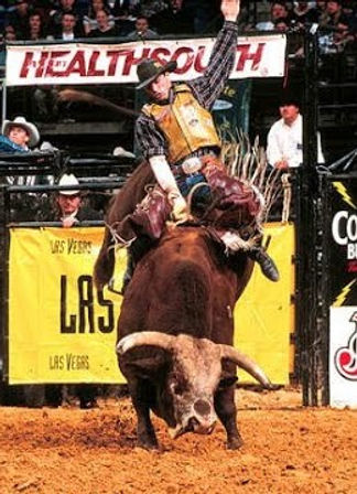 Gold Buckle | About Troy Dunn