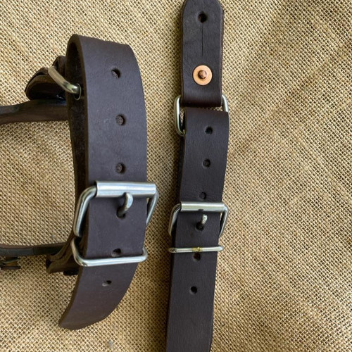 Leather Bull Riding Spur Straps | Gold Buckle