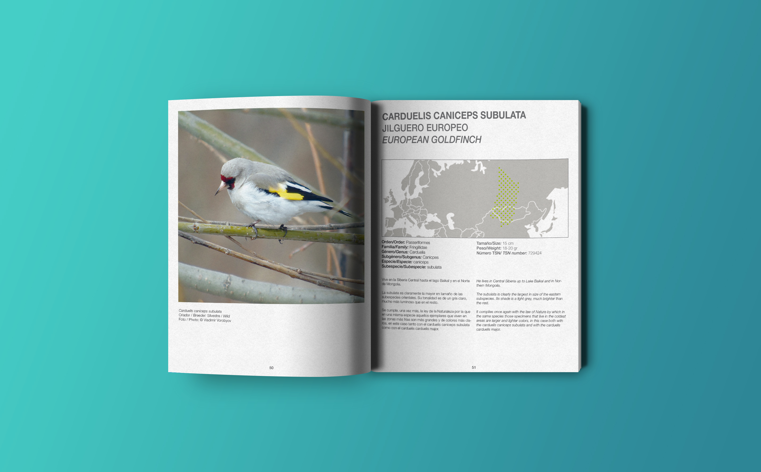 El Jilguero Libros Engonari