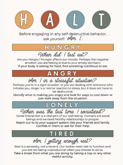 H.a.l.t el método que te ayudará a tomar mejores decisiones