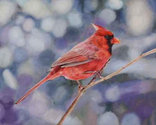 Cardinal Fine Art Print | My Site