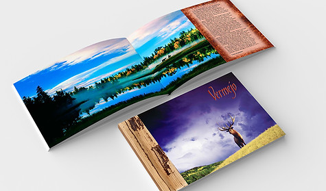 Current | M Graphic Solutions