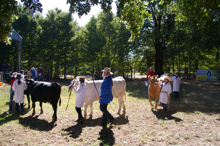 Section T - School Paraders | Tumut Show Society
