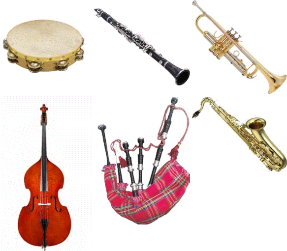 Musical Instrument Trivia & Video Lesson