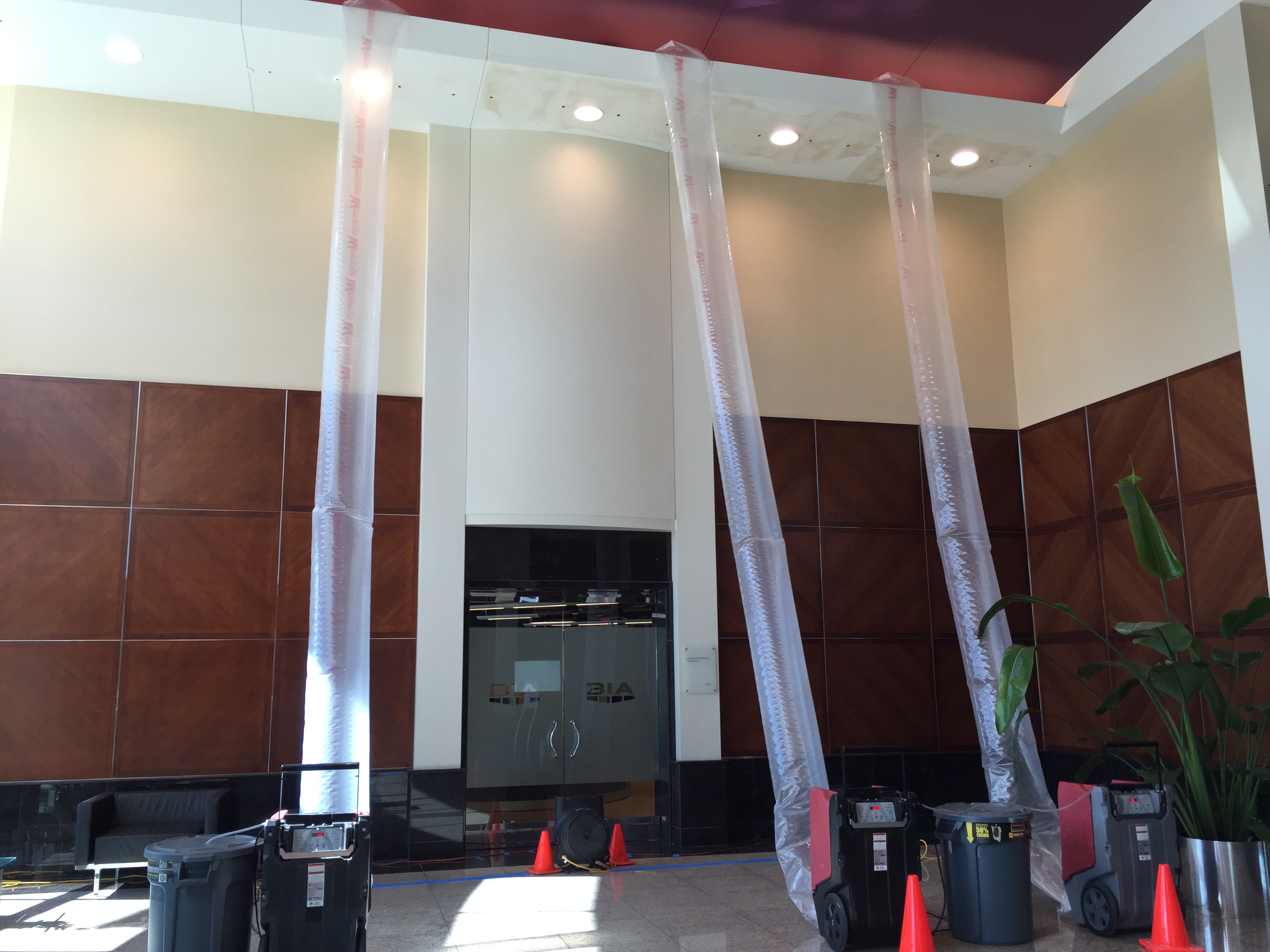 Water/Fire/Mold/Storm Damage Restoration Services